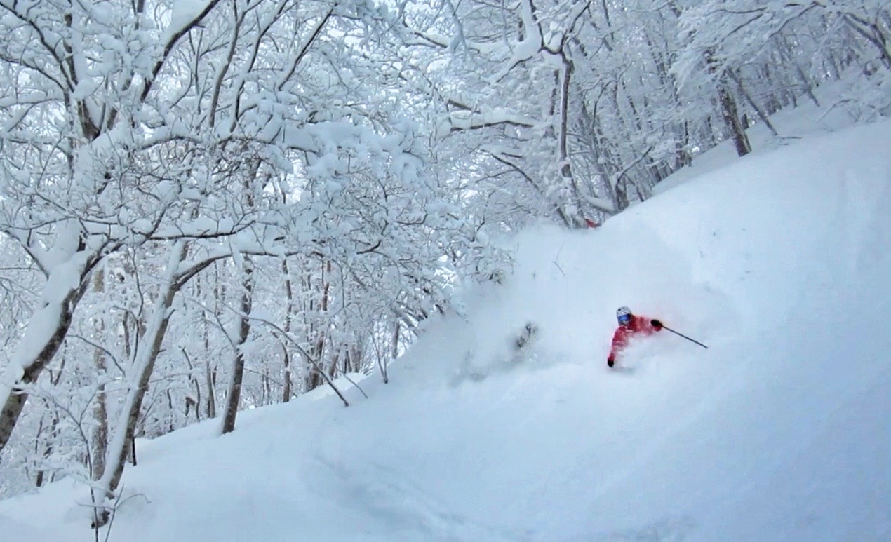 Karla Webster | Ski Safari